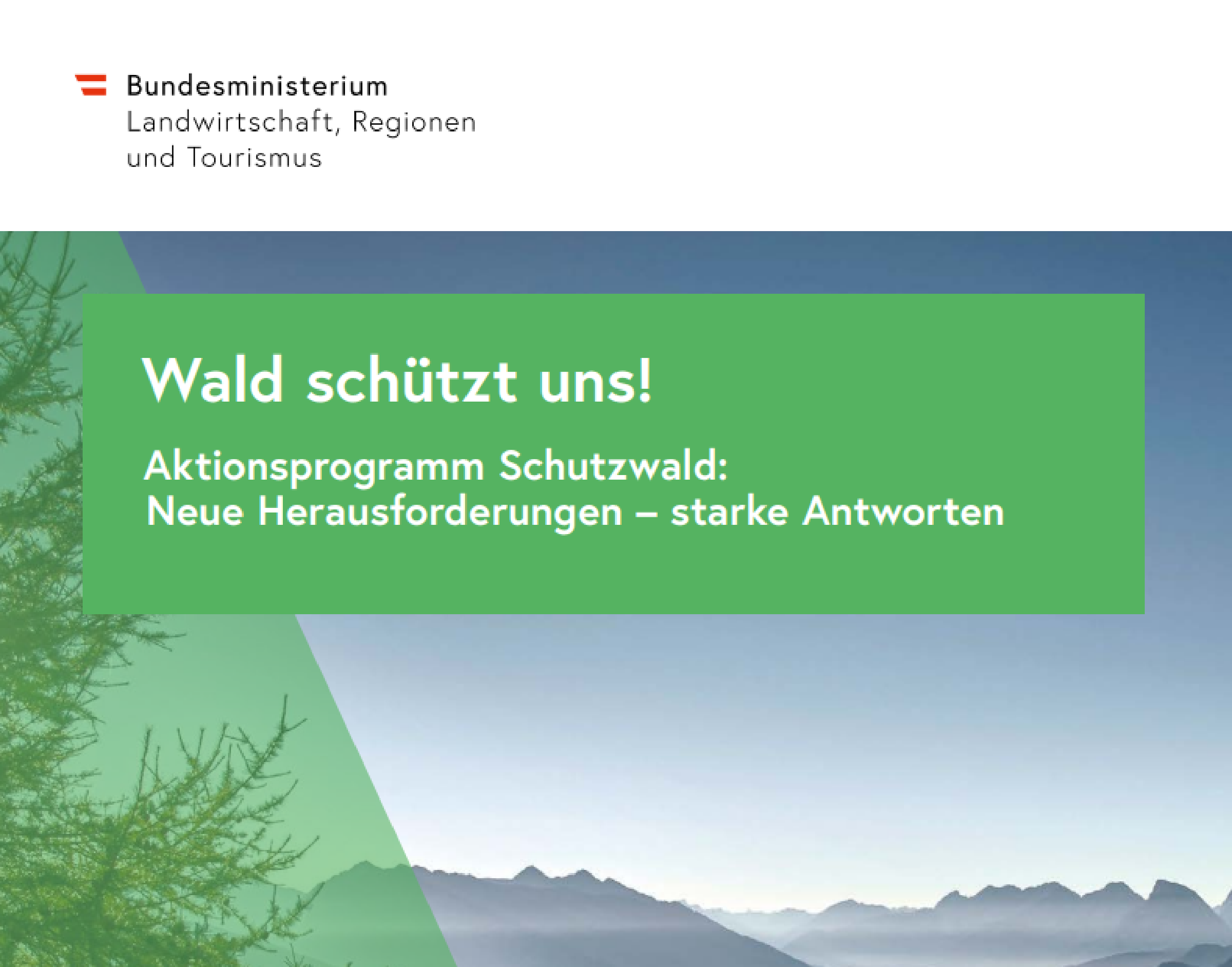 Aktionsprogramm Schutzwald: Wald schützt uns! - Leben mit Naturgefahren